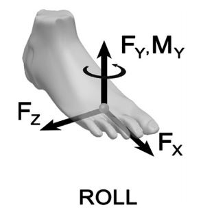 Publications - Neuromechanics & Mobility Lab - University of Washington